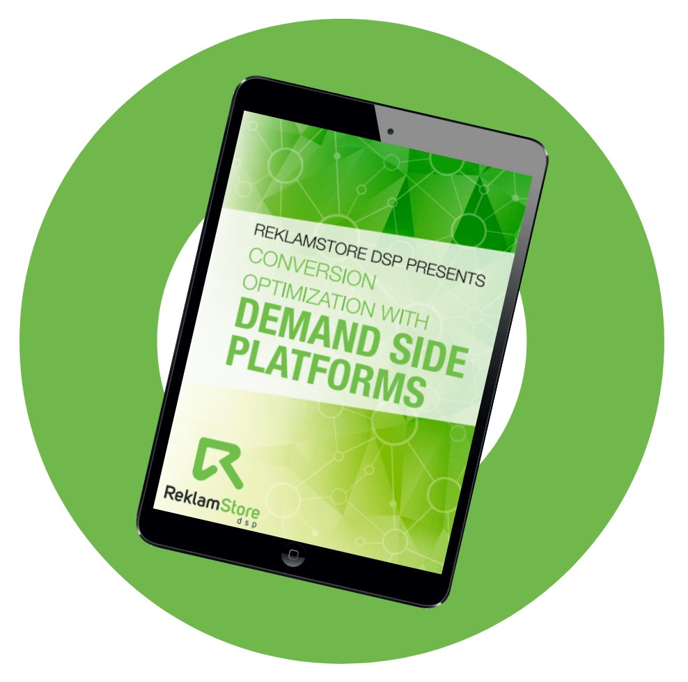 Conversion Optimization with Demand Side Platforms E-Book